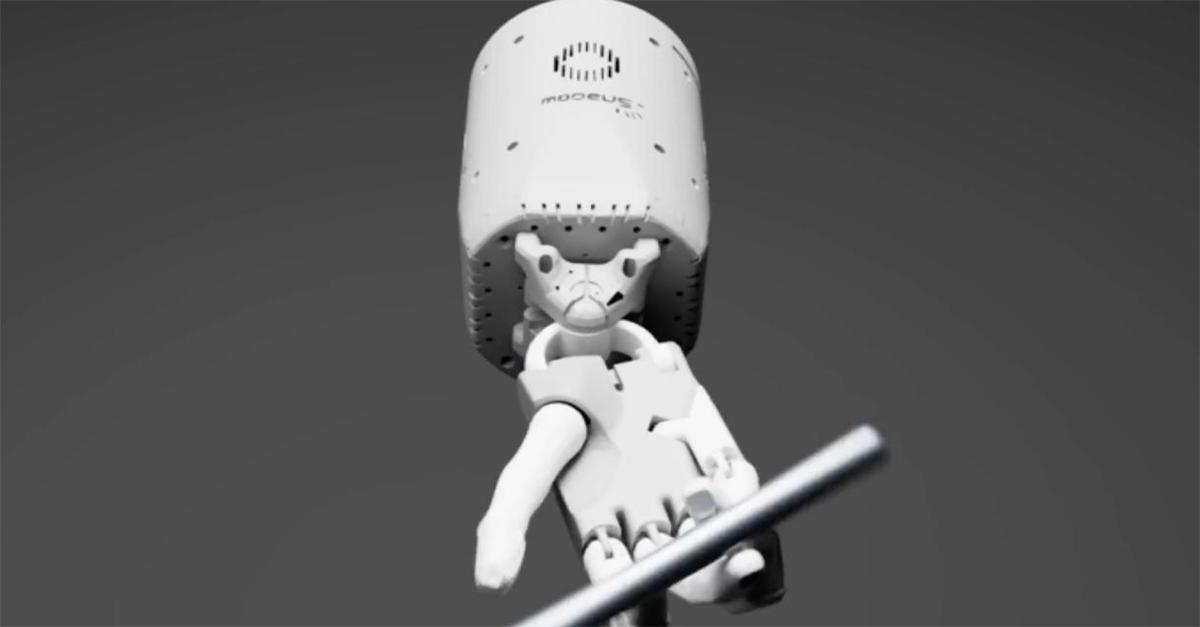 Nvidia發表Eureka新AI系統 可訓練機器人做傳球、轉筆