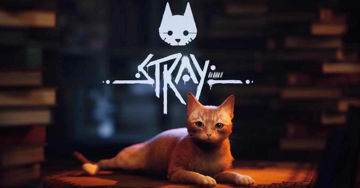 《Stray》粉絲碗要敲破了！ 終於要推出DLC
